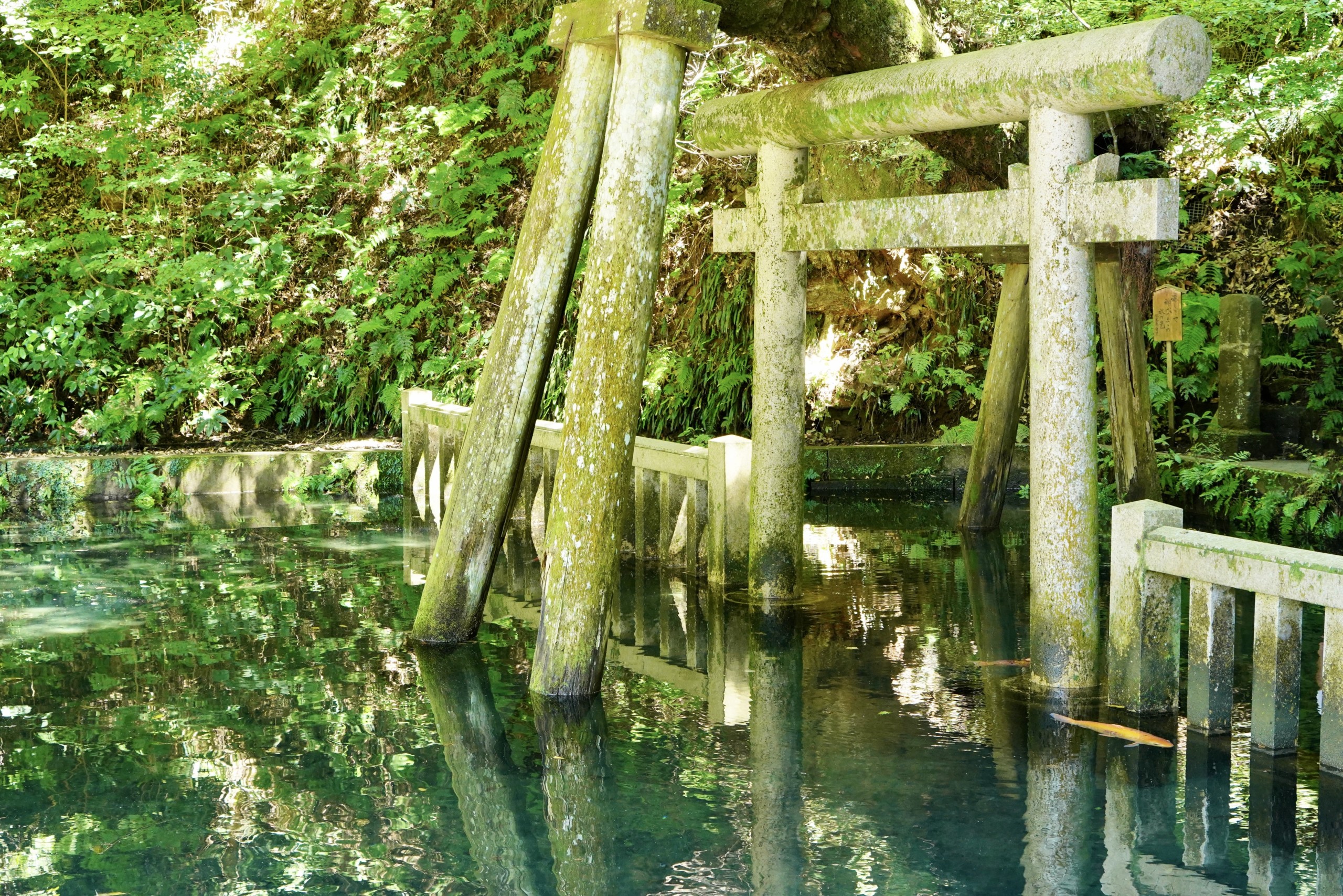 Japanese instruments and mysteries: An invitation to a world of legends ...